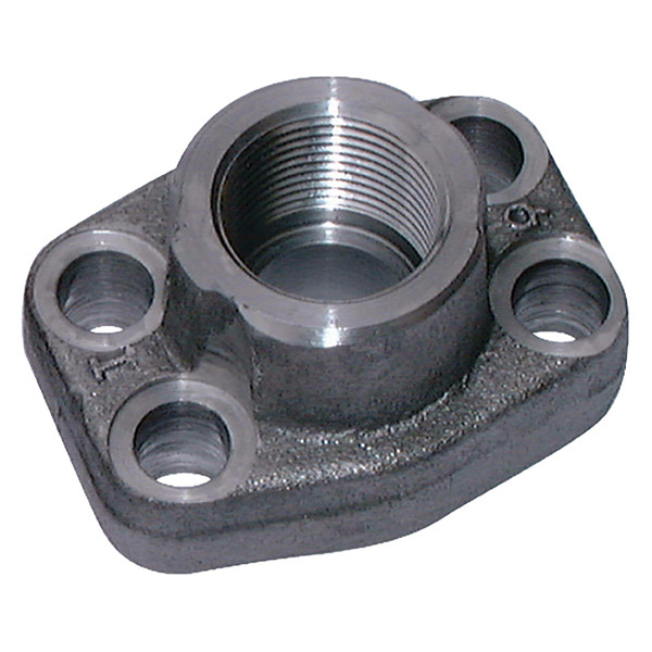 1" Threaded Flange