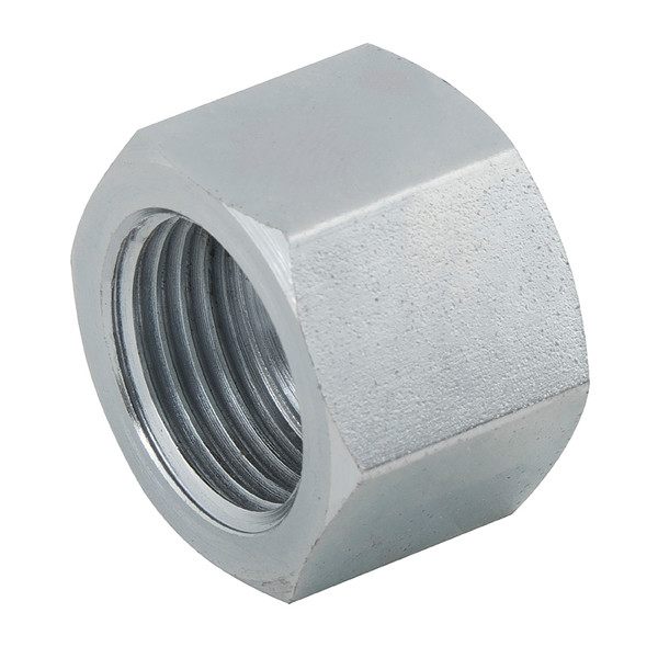 3/4" BSPP JIS FEMALE STEEL CAP