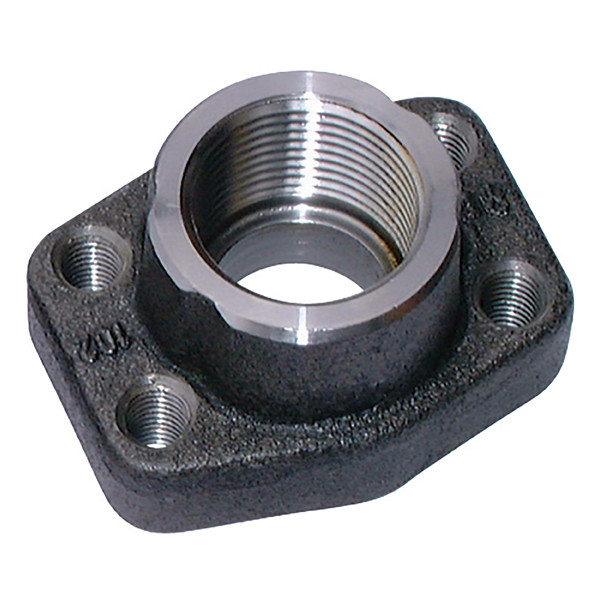 2" BSP x 2" Threaded Flange